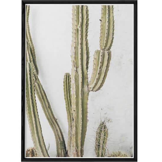 Déco cactus : 18 idées pour un intérieur plein de fantaisie
