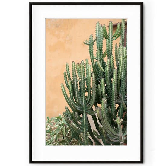 Déco cactus : 18 idées pour un intérieur plein de fantaisie