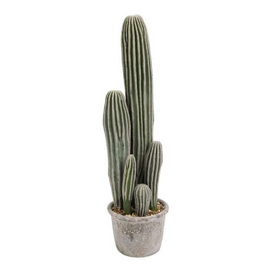 Déco cactus : 18 idées pour un intérieur plein de fantaisie