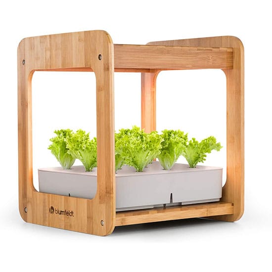 Quel potager d'intérieur choisir pour cultiver ses plants chez soi