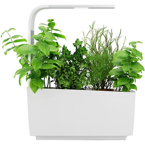 Quel potager d'intérieur choisir pour cultiver ses plants chez soi