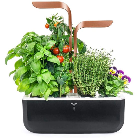 Potager d'intérieur : Quel modèle choisir