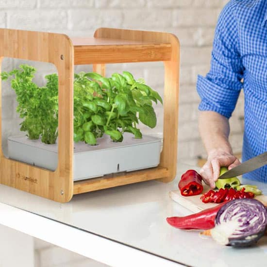 Quel potager d'intérieur choisir pour cultiver ses plants chez soi