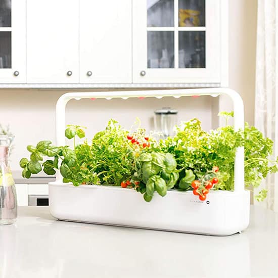 Quel potager d'intérieur choisir pour cultiver ses plants chez soi