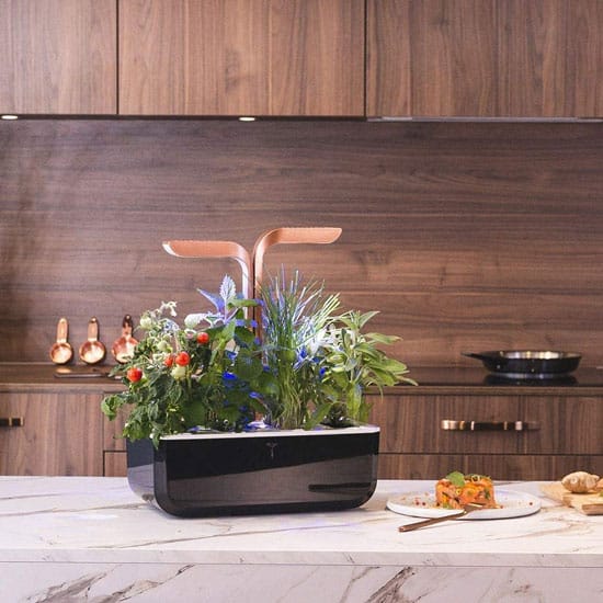 Quel potager d'intérieur choisir pour cultiver ses plants chez soi