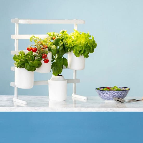 Quel potager d'intérieur choisir pour cultiver ses plants chez soi