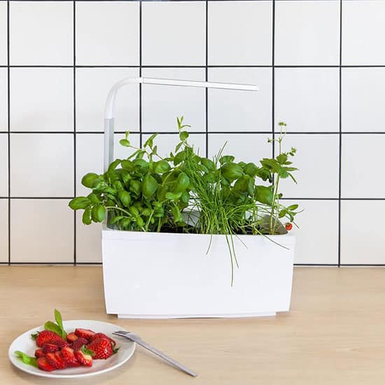 Quel potager d'intérieur choisir pour cultiver ses plants chez soi