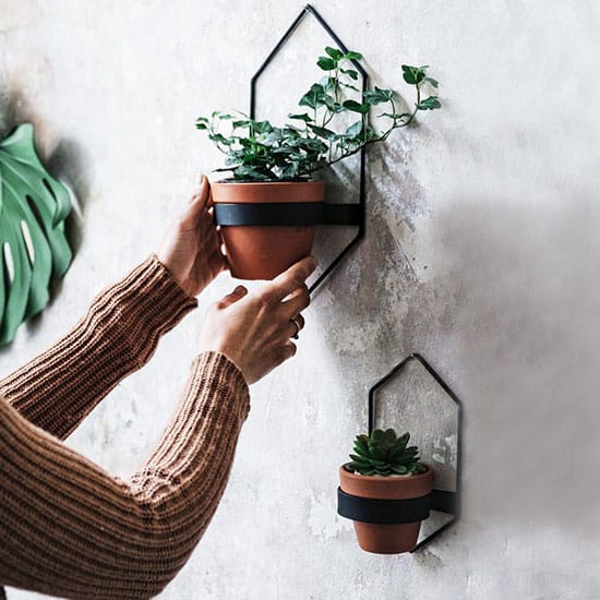 Cache pot mural : [Top 12] pour inviter la nature à l'intérieur
