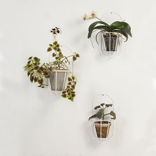 Cache pot mural : [Top 12] pour inviter la nature à l'intérieur